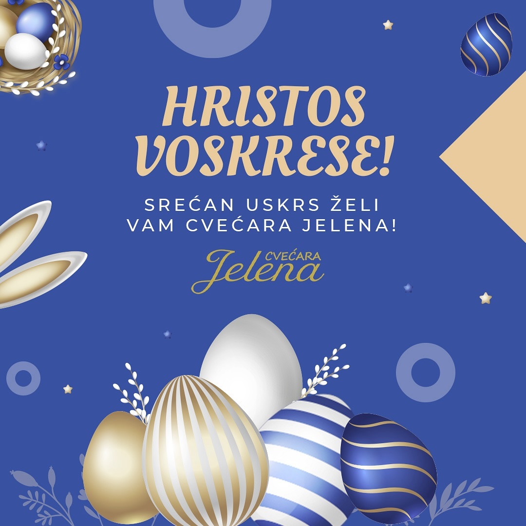 Saksijsko cveće || Cvećara Jelena