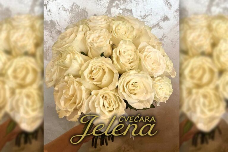 Beli bidermajer - Simbol ljubavi i radosti || Cvećara Jelena